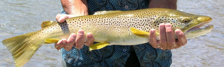Fishing – Lake Capote Recreation Area