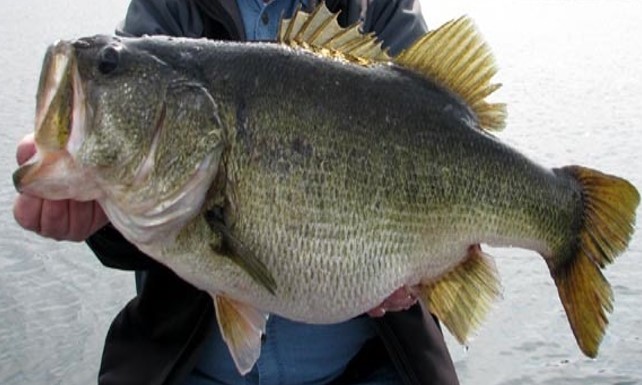 Fishing – Lake Capote Recreation Area