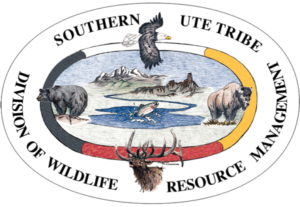 Lake Capote Recreation Area – Pagosa Springs, Colorado